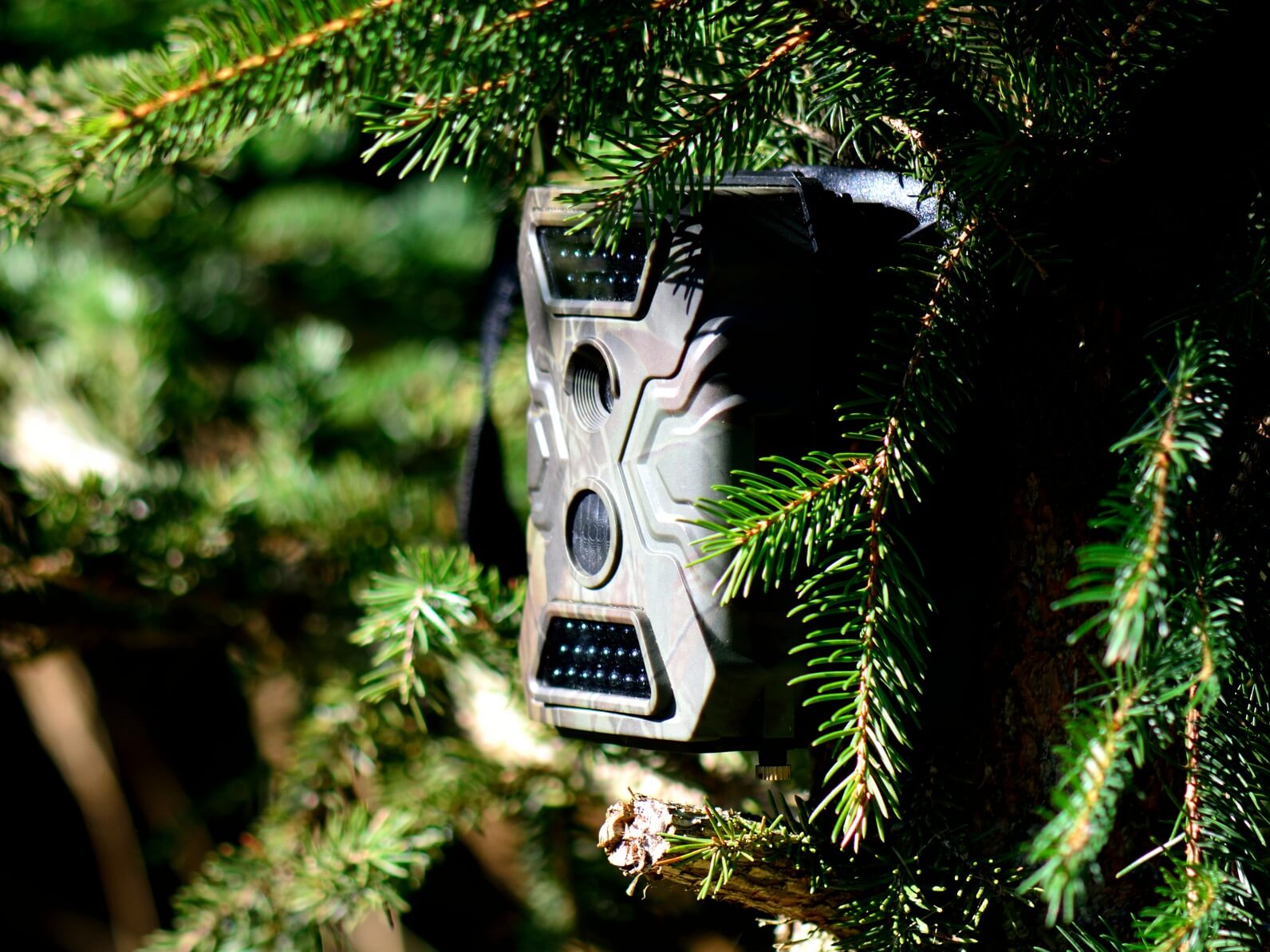 Surveillance cameras for outdoor use|Surveillance cameras for outdoor use