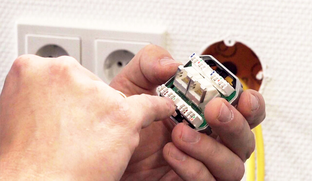 Netzwerkdose installieren – Schritt-für-Schritt-Anleitung - reichelt ...